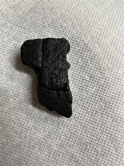 Help Identify R Fossils