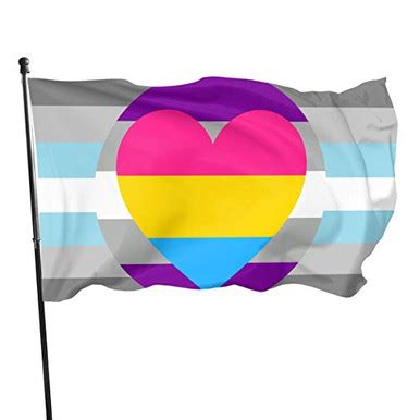 Duanduan Demiboy Gray Ace Panromantic Asexual Pan Pride Flag Themed