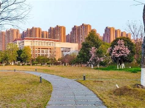 桂医生日快乐 桂林医学院公共卫生学院