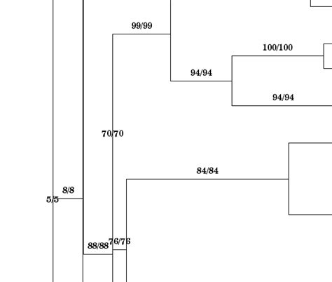 How To Add Support Value The The Tree Without Rerun Iq Tree · Issue