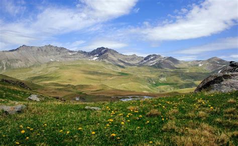 ლაგოდეხის დაცული ტერიტორიები კახეთი 0 Gel კავკასუს ფერედაისი