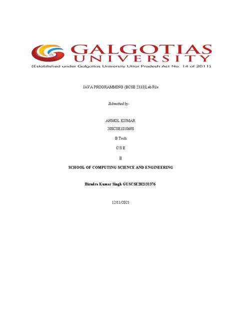 Lab File Formatbcse2333 Pdf Method Computer Programming Class Computer Programming
