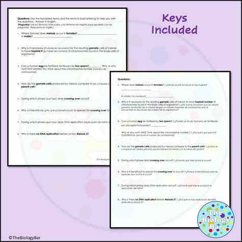 Biology Meiosis Sequence Cut And Paste Worksheet Bilingual Marketplace