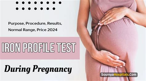 Iron Profile Test During Pregnancy Purpose Procedure Results Price