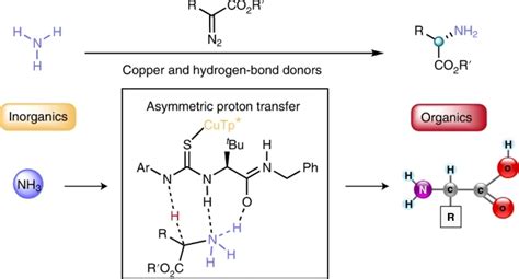 Nature Catalysis