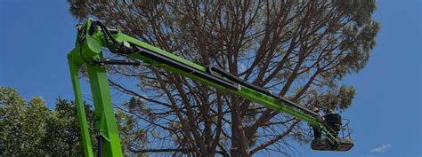 Tree Trimming Services Clinton OK We Offer Free Estimates