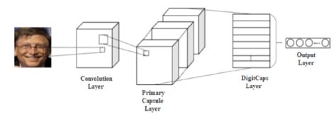 Capsule Networks Layer Download Scientific Diagram