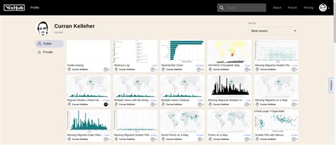 Profile Page Issue Vizhub Core Vizhub Feedback GitHub