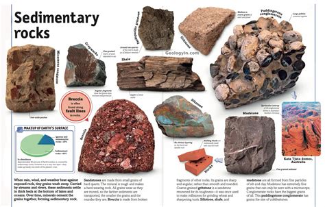 Examples Of Sedimentary Rocks And Their Geological Importance
