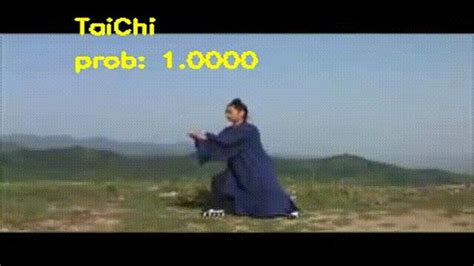 项目实战课基于Pytorch的SlowFast模型视频分类与行为识别实战 知乎