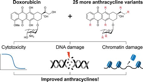 Re Exploring The Anthracycline Chemical Space For Better Anti Cancer Compounds Journal Of