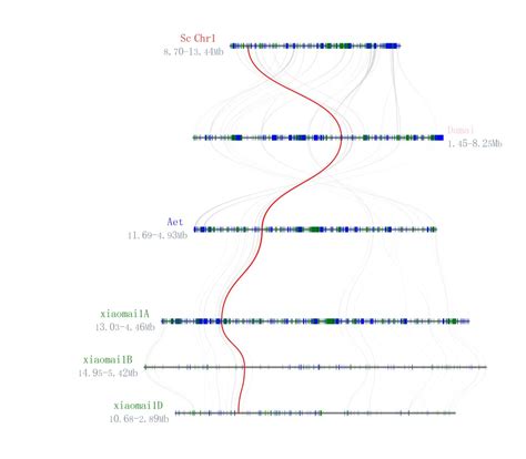 教你画多物种基因家族局部共线性分析图 组学大讲堂问答社区