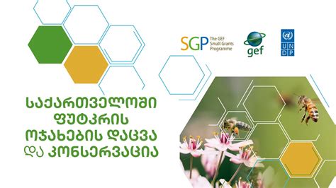 თეიმურაზ ღოღობერიძე თაგვების და ვირთხების საწინააღმდეგოდ მშრალი საწამლავების გამოყენება Youtube