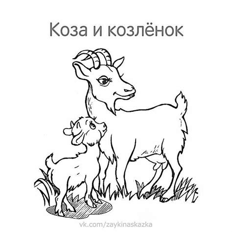 Животные И Их Детеныши Раскраски 68 фото