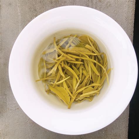鹿溪玉贡茶叶2024远安黄茶宜昌远安特产鹿苑毛尖黄小茶罐装 虎窝淘