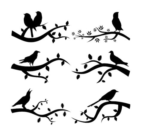 Premium Vector Branch Bird Vector Silhouette