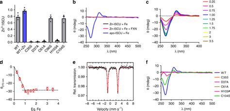 铁硫簇生物合成的生理相关重建揭示了 Ferredoxin 2 和 Frataxin 的过硫化物加工功能。 Nature Communications X Mol