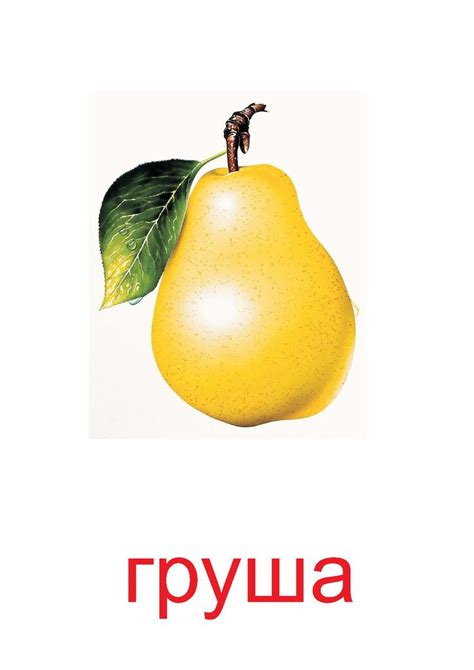 Результат пошуку зображень за запитом зображення овочів та фруктів Фрукты Овощи для детей