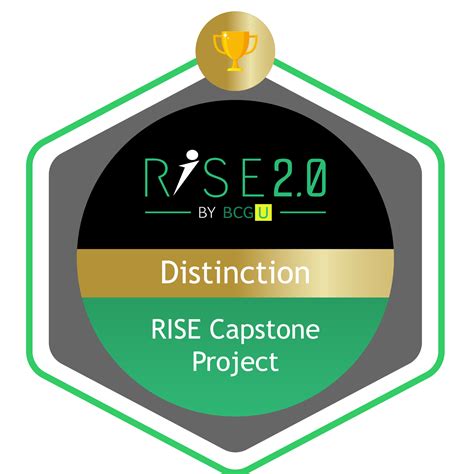Bcg Rise Capstone Distinction Business And Data Analytics Credly