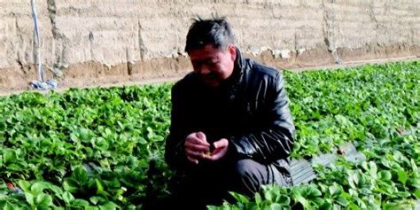 18项目超51亿元 甘肃招商团赴鲁拿下大单凤凰网甘肃 凤凰网