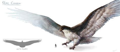 Roc Concept By Arvalis On Deviantart