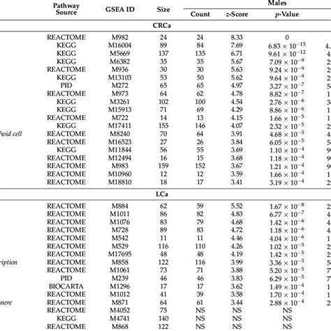 Histopathological Exam In Dlbcl A Dlbcl Lymph Node Histology