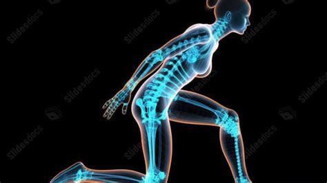 Highlighted Backbone On 3d Render Of Female Medical Figure In Yoga Pose