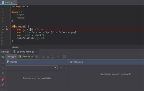 Goland Eap Opens With A Better Debugger That Includes Smart Step Into Action Improved