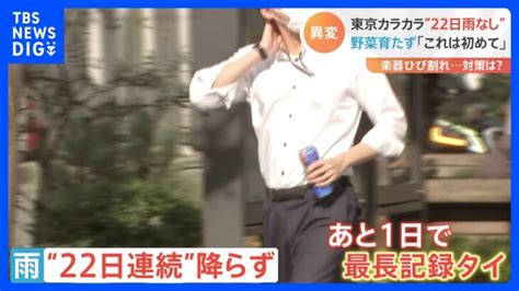 季節外れの春のような陽気で空気カラカラ作物育たない記録的乾燥で農家から悲鳴TBS NEWS DIG 気ままにニュース速報