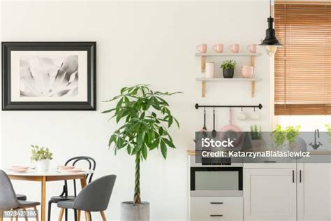 목재 식탁의 자 파스텔 핑크 기구와 간단한 포스터 벽에 밝은 부엌 인테리어의 실제 사진에 옆에 신선한 공장 서 가구에 대한 스톡 사진 및 기타 이미지 Istock