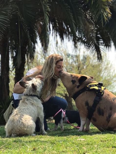 Familias multiespecie de qué se trata esta nueva concepción del