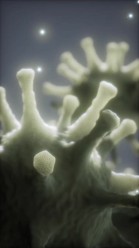 Bacteria Virus Or Germs Microorganism Cells Under Microscope With Depth 46993562 Stock Video At