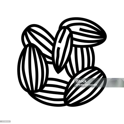 아몬드 완전 채식주의 자 음식 라인 아이콘 벡터 일러스트 레이 션 가방에 대한 스톡 벡터 아트 및 기타 이미지 가방 건강한 식생활 과일 Istock