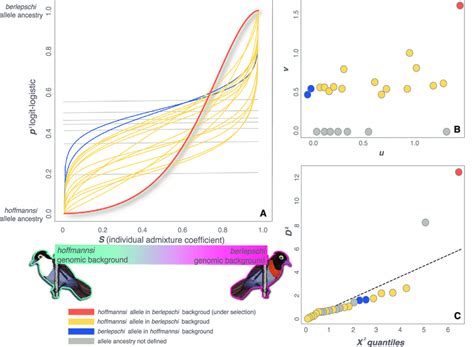 Genomic Clines Indicate Introgression Of 15 Alleles With Hoffmannsi