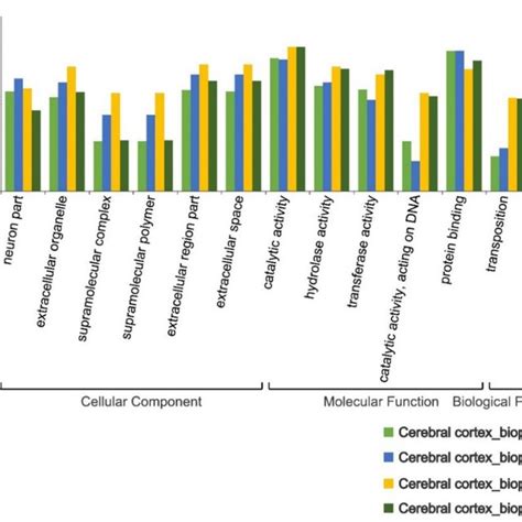 Functional Annotation Of All Polymorphic Transcripts In Brushtail Download Scientific Diagram