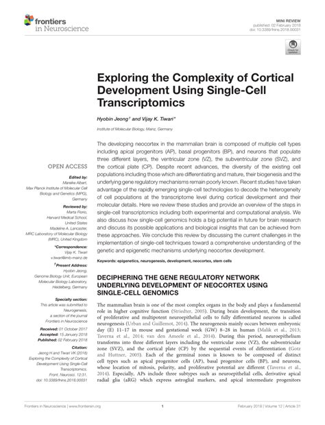 Pdf Exploring The Complexity Of Cortical Development Using Single