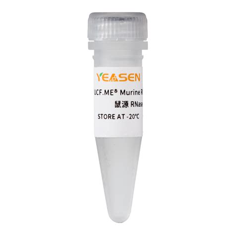 Rnase Gmp Murine Rnase Inhibitor Gmp Grade