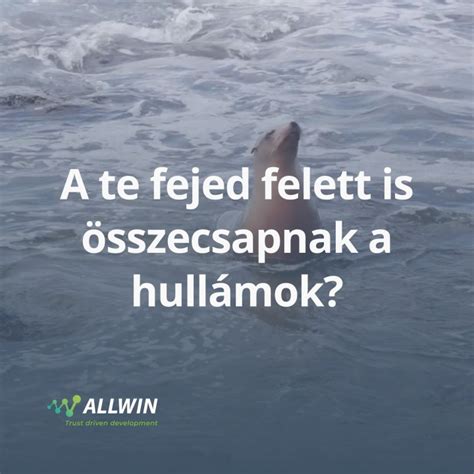 [video] allwin informatika on linkedin allwininformatika szerethetomunkahelyek