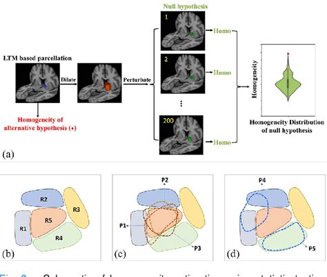 Figure 2 From Functional Parcellation Of Human Brain Using Localized