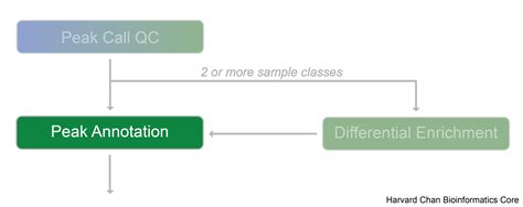 peak annotation and visualization peak analysis