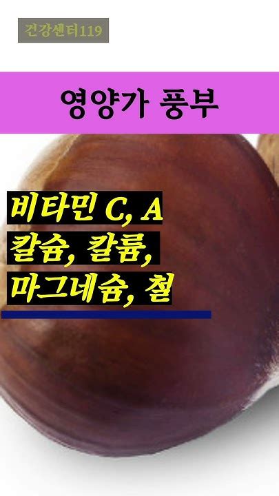 천연 영양제 제철 음식 밤의 놀라운 효능 건강관리 Youtube