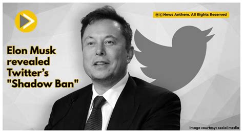 Elon Musk Revealed Twitters New Update Shadow Banned