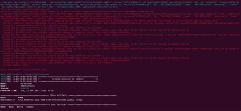 Execution In Progress Hangs For 10 Minutes And Then Error Encountered Running Starlark Code
