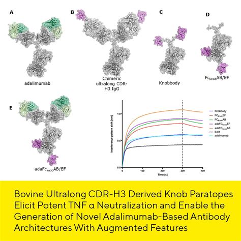 Octet® Affinity Binding Kinetics And Concentration On Linkedin