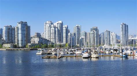 What Is Cusma And How Can You Benefit From It Investment Watch Blog