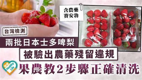 食用安全台灣檢測兩批日本士多啤梨 發現農藥殘留違規 果農教2步驟正確清洗