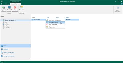 Finalizing Instant Recovery To VMware VSphere User Guide For VMware VSphere
