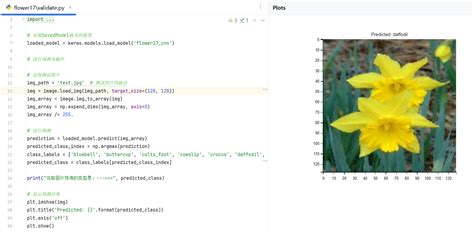 使用cnn或resnet，分别在flower5，flower17，flower102数据集上实现花朵识别分类 附源码 免费
