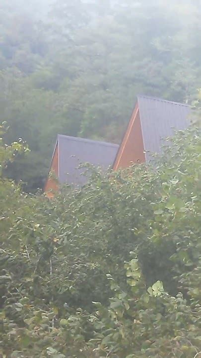 Discover გულები Youtube