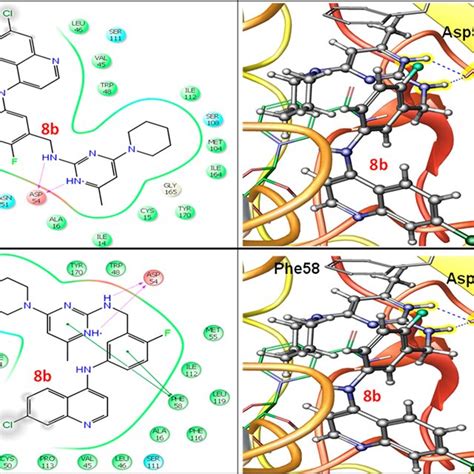 Two And Three Dimensional Docking Poses Of Compound 8b Showing The Download Scientific Diagram